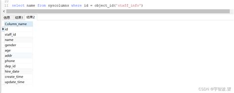 【sql server查询输出表中的所有字段名（列名）】 方便复制到excel中进行字段分析 sql获取表里的所有字段名 csdn博客