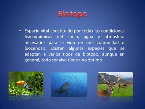 Definición de Biotopo Qué es Significado y Concepto