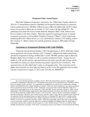 Fillable Online Exhibit 1 FCC Form 611 T Page 1 Of 2 Designated Entity