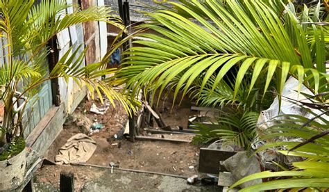 Homens Encapuzados Invadem Casa E Matam Jovem De 21 Anos Em Plataforma