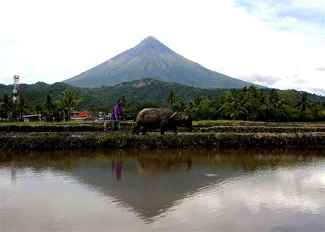 Phivolcs Observes Increased Seismic Activities In Mayon