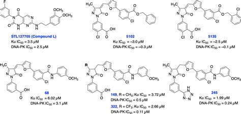 Frontiers Recent Advances In The Development Of Non PIKKs Targeting