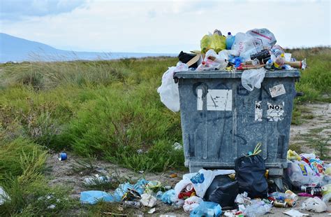Recolección de Basura la mejor solución para residuos comerciales