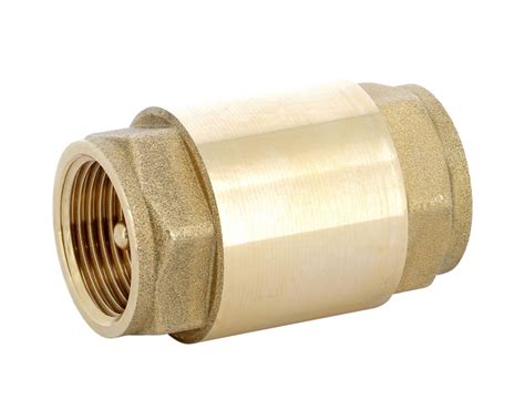 Clapet De Non Retour Double Guidage 305 Toutes Positions ACS Sferaco