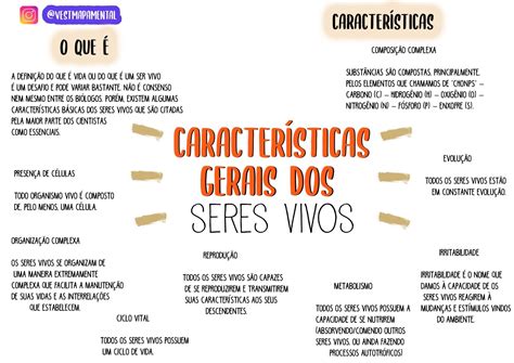 Características do seres vivos resumos e mapas mentais Infinittus