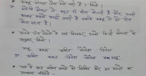 CLASS III Assignment Hindi Chapter 1 ककक Kakku Page 2
