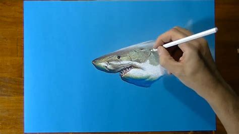 How To Draw A Great White Shark Easy