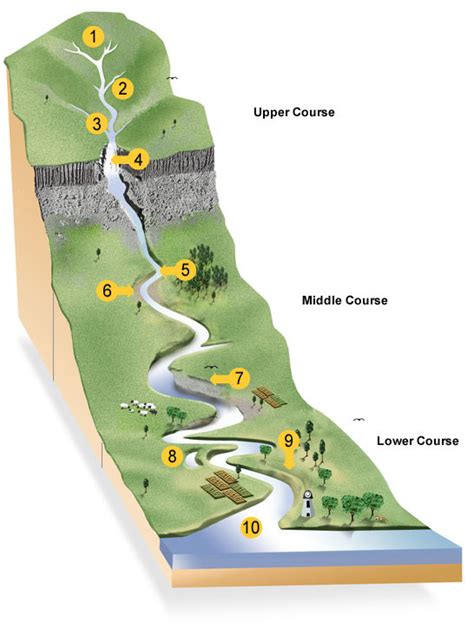 River Course Features Diagram Quizlet