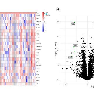 Dataset Differential Analysis A Heat Map Of DEGs Adjusted False