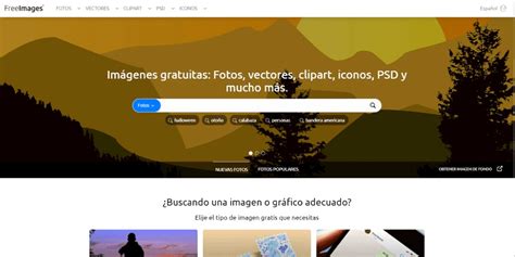 Los 8 mejores bancos de imágenes gratuitos Servicios Softcorp