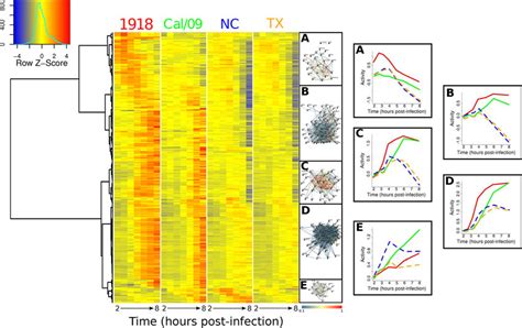 temporal clustering identifies five distinct gene expression patterns download scientific