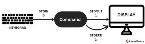 Bash I O LinuxSimply