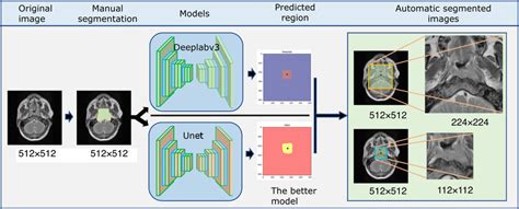 semantic segmentation models based on u net and deeplabv3 were trained download scientific