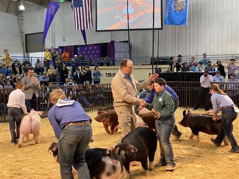 OYE Purebred Gilt Supreme Champion Drive Ron Hays Flickr