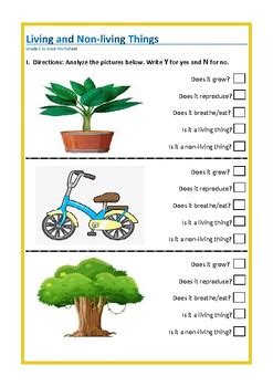 Living And Non Living Things Grade Worksheet Activity Tpt