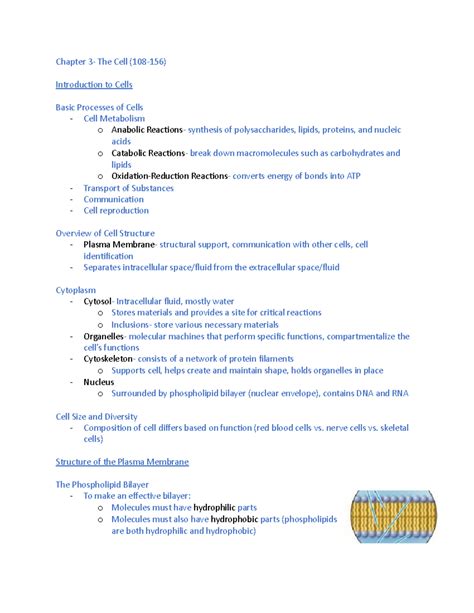 Human Anatomy And Physiology Chapter 8 Joints