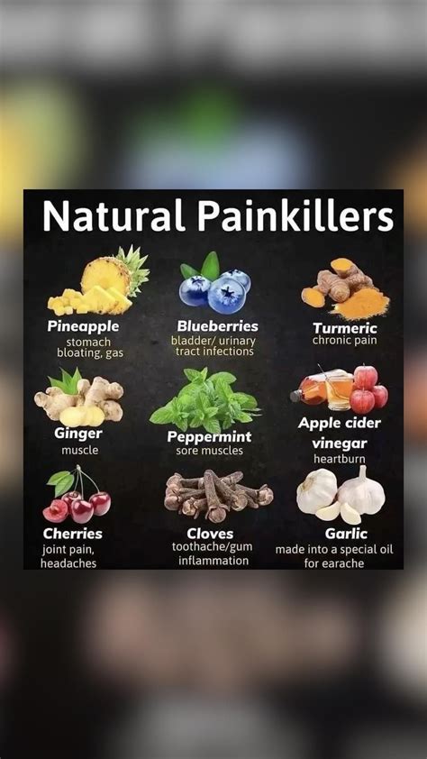 10 Medicinal Plants And Their Uses Artofit