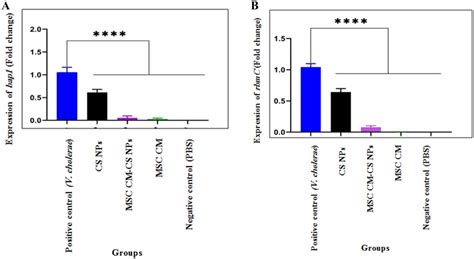 The Inhibitory Effect Of Three Compounds MSC CM MSC CM CS NPs And CS