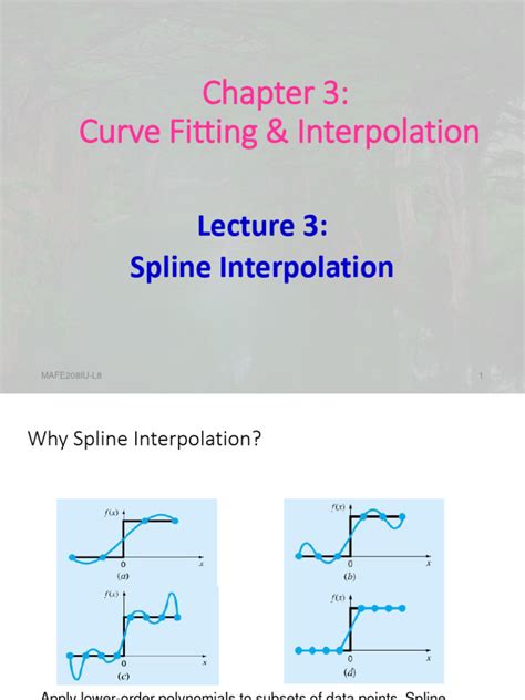 mafe208iu l8 spline interpolation pdf interpolation spline mathematics