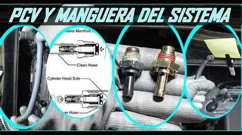 Como Probar La Valvula Pcv Y Las Mangueras Del Sistema Youtube