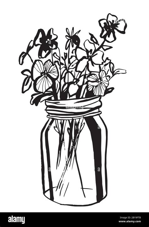Hand Drawn Diffrent Flowers In Mason Jar Vector Illustration Coloring