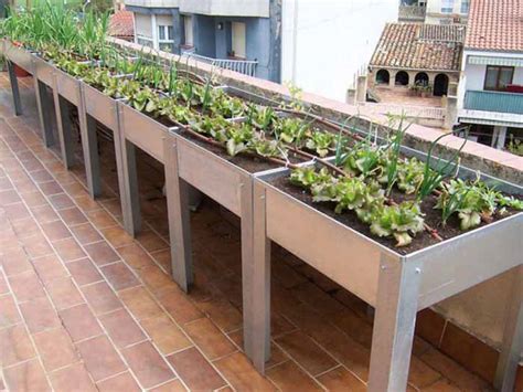 Como hacer un huerto urbano en terraza o balcón