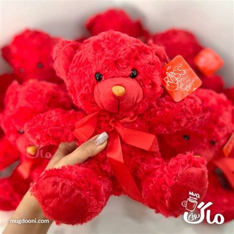 خرید و قیمت عروسک پولیشی خرس قرمز ولنتاین خارجی درجه یک از غرفه ماگ