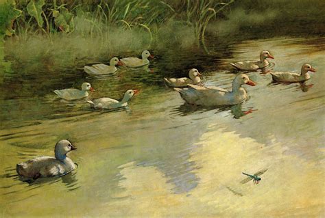 História do Patinho Feio