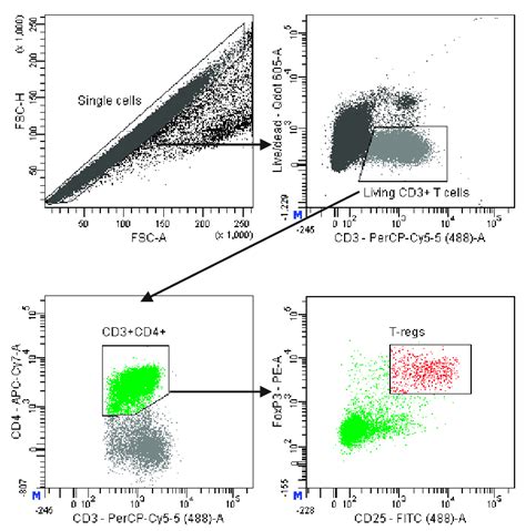 Figure A2 Gating Strategy Flow Cytometry Analysis Of T Regs Doublets