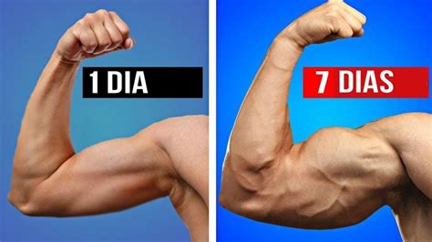 Treino B Ceps E Tr Ceps No Mesmo Dia Em Casa Youtube