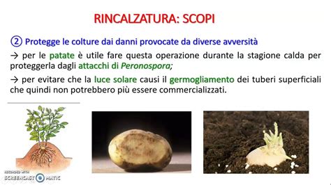Le Lavorazioni Del Terreno PARTE 3 YouTube
