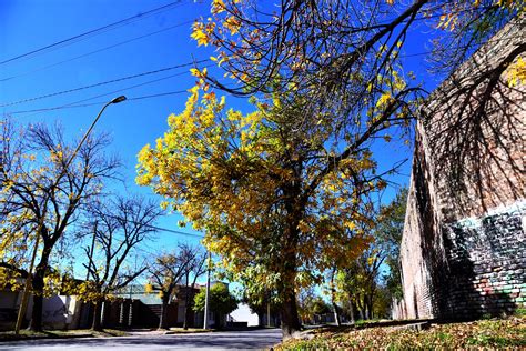 Se adelantó la sequía en nuestra región y vuelve la primavera en