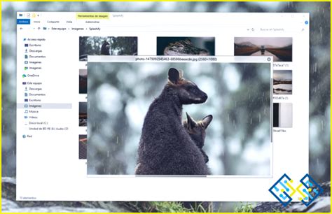 Cómo obtener una vista previa de los archivos en Windows 7 lizengo