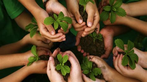 Educación Ambiental una prioridad en la agenda de Mendoza