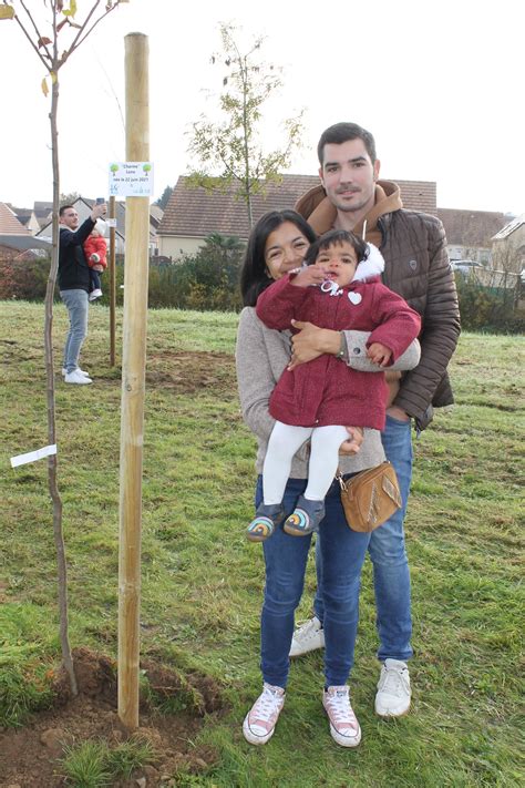 Une Naissance Un Arbre 26 11 2022 33 La Suze Sur Sarthe