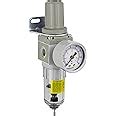 Pneumaticplus Saw M N Bg Miniature Compressed Air Filter Regulator