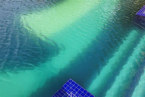 Pourquoi Leau De Ma Piscine Est Trouble