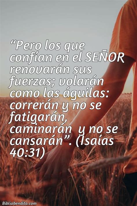11 Versículos En La Biblia Sobre Exhortación Biblia Online