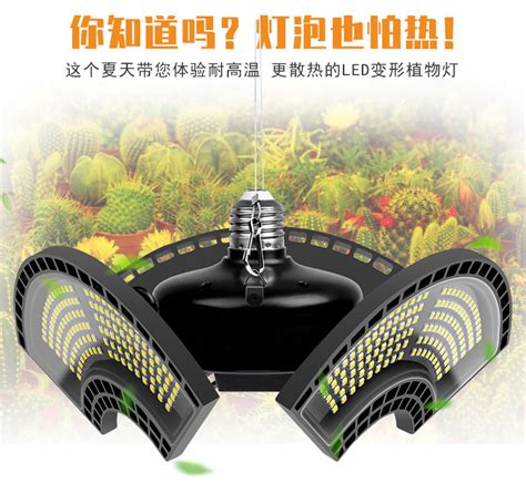 跨境led植物生长灯折叠防水室内多肉补光灯全光谱温室植物培育灯 阿里巴巴