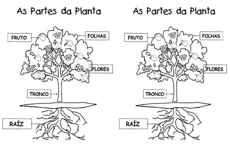 Complete As Partes Da Planta