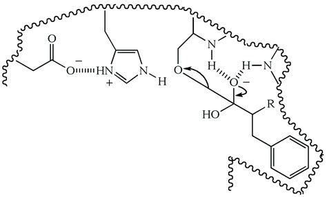 Illustrated Glossary Of Organic Chemistry Chymotrypsin