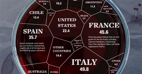 Ranked Worlds Biggest Wine Producers By Country CNN World Today