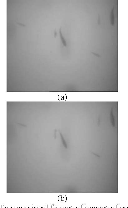 figure 1 from speed algorithm for underwater moving objects detection based on image sequence