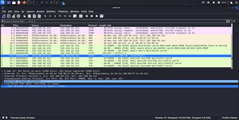 Wireshark Network Protocol Analyzer Devendrakumar Shirbad