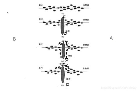 matlab蚁群算法（aca）详解（一）算法入门 aca和pso csdn博客