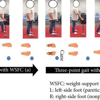 Types Of Cane Supported Gait Using A Weight Support Feedback Cane