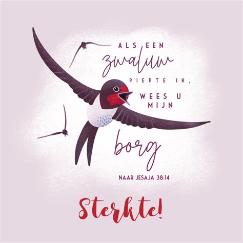 Christelijke Sterkte Kaart Met Zwaluwen En Kaartje2go