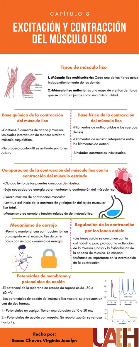 Capítulo 8 Excitación y contracción del músculo liso Permite mantener