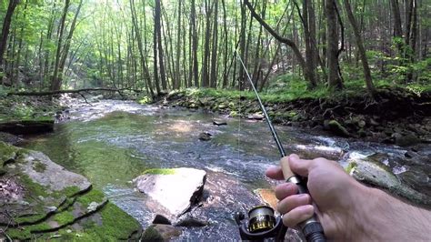 Native Brook TROUT Fishing DEEP In The Mountains YouTube