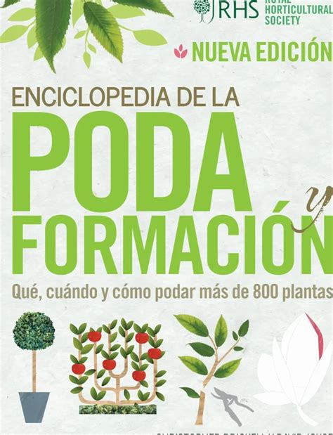 Guía completa Cómo podar árboles para un crecimiento saludable y